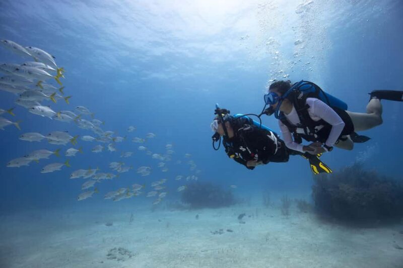 BARCELONA: SCUBA DIVING INITIATION - Dive in and experience underwater adventures - 2 hours - A Close Look at the Experience