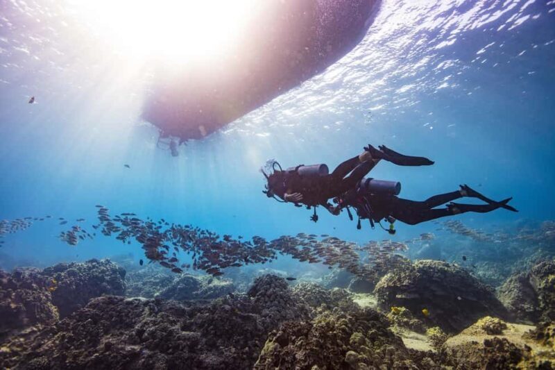 BARCELONA: SCUBA DIVING INITIATION - Dive in and experience underwater adventures - 2 hours - Is This Experience Right for You?