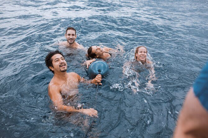 Barcelona Sunset Cruise with Open Bar of Cava and Snacks - The Sum Up: A Relaxing, Scenic Highlight