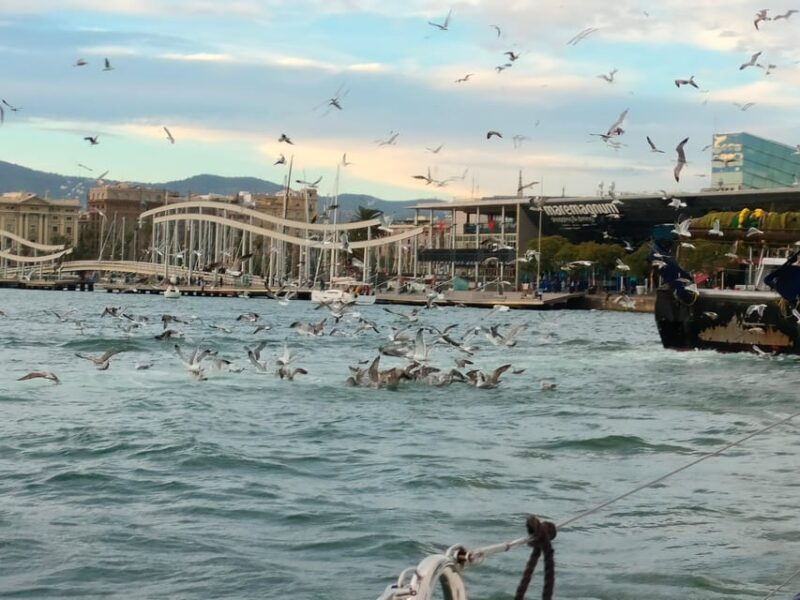 Barcelona: Sunset Cruise with Snacks and Drinks - What to Expect: An Authentic Sunset Sail