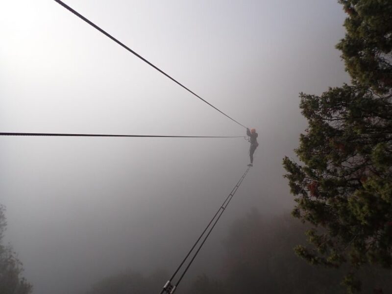 Barcelona: Via Ferrata Baumes Corcades in Centelles - Final Thoughts: Who Will Love This Activity?