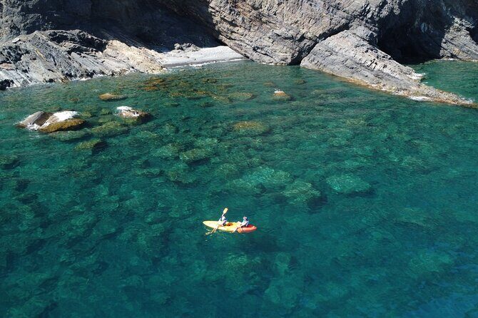 Barcelona Wild Experience: Kayak and Snorkel in Costa Brava - Key Points
