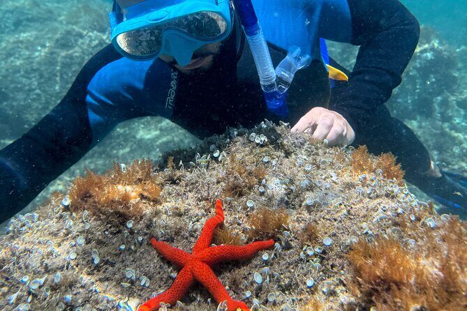 Barcelona Wild Experience: Kayak and Snorkel in Costa Brava - Who Will Love This Tour?