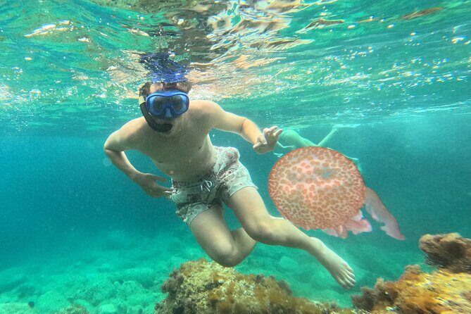 Barcelona Wild Experience: Kayak and Snorkel in Costa Brava - Practical Details and Tips