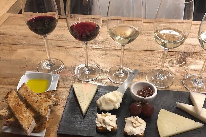 Barcelona: Wine Tasting and 5 Course Tapas Pairing Dinner - Who Will Love This Tour?