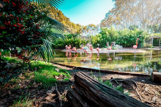 Barcelona Zoo Entrance Ticket - Final Verdict