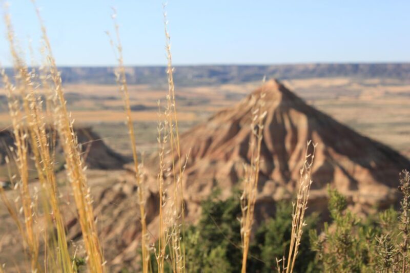 Bardenas Reales: Guided tour in 4x4 private vehicle - Who Should Book This Tour?