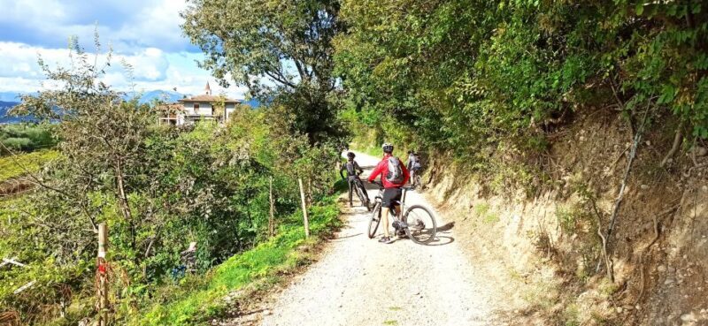 Bardolino: e-bike tour and wine tasting on the hills - Exploring the Bardolino Hills: A Guided E-Bike and Wine Tasting Tour