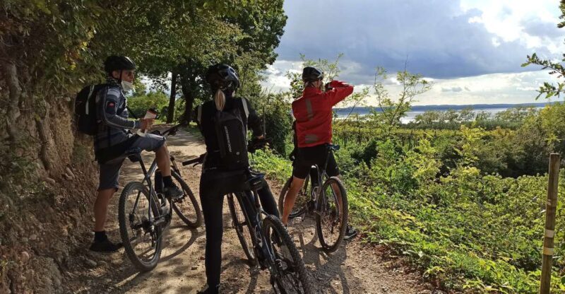 Bardolino: e-bike tour and wine tasting on the hills - Authentic Insights from Reviews