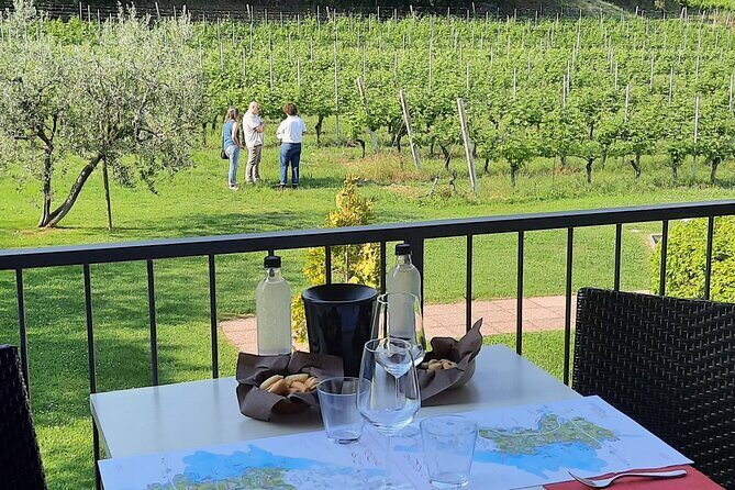 Bardolino: vineyard tour, wine, oil and food tasting - Key Points