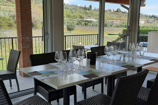 Bardolino: vineyard tour, wine, oil and food tasting - Exploring the Tour Itinerary