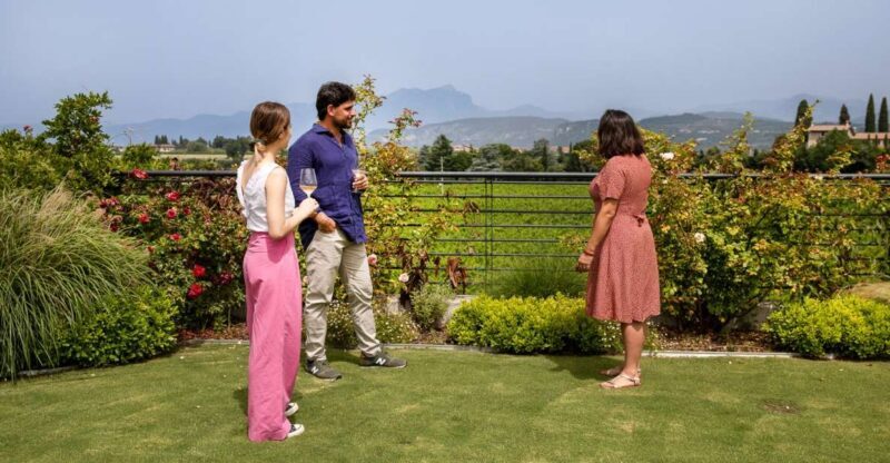 Bardolino: Vineyard Tour with Wine and Food Tasting - A Deep Dive into the Bardolino Vineyard Tour  