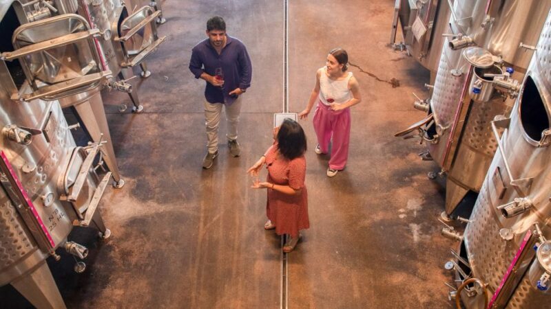 Bardolino: Vineyard Tour with Wine and Food Tasting - The Sum Up: Who Will Love This Tour?  