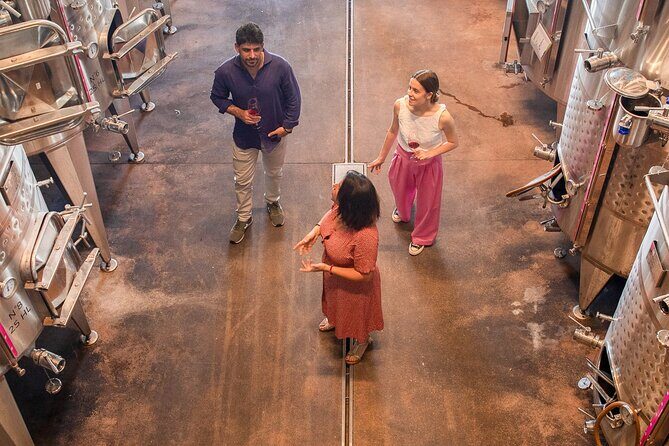 Bardolino Wine Experience - Key Points