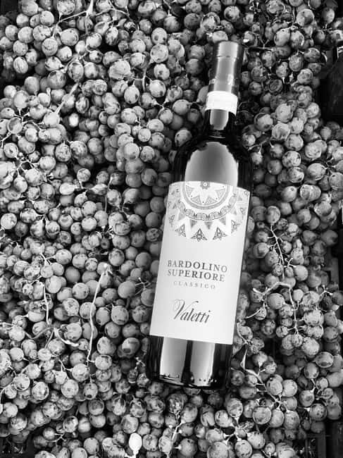 Bardolino: Wine tasting at Cantina Valetti - Key Points