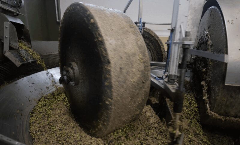 Barletta-Andria-Trani: oil mill tour and oil tasting - Final Thoughts: Is It Worth It?