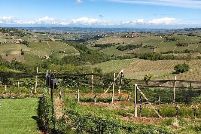 Barolo & CO: visit and tasting - Practical Details and Tips
