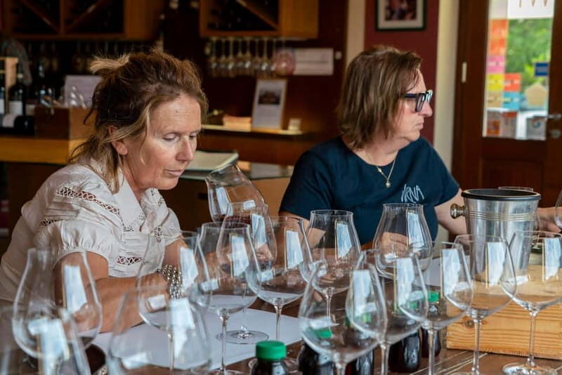 BAROLO: GUIDED VISIT TO THE WINERY AND TASTING WITH THE PRODUCER - Discovering Virna Borgogno Winery