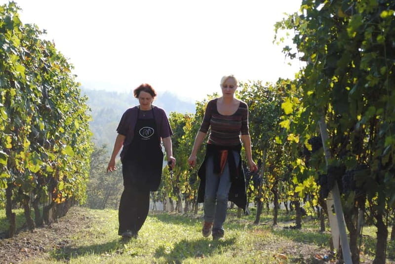 BAROLO: GUIDED VISIT TO THE WINERY AND TASTING WITH THE PRODUCER - The Wines Tasted