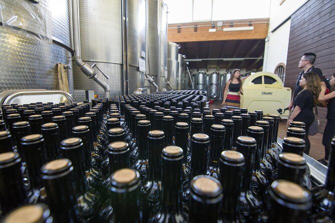 Barolo Wine Tour - Discovering the Town of Barolo