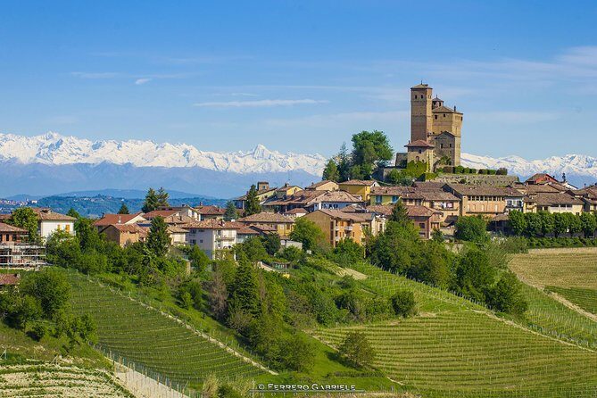Barolo Wine Tour - What’s Included and What Not