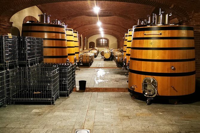 Barolo&Barbaresco Wine Experience with a local winemaker - Key Points