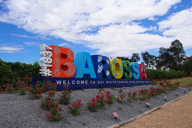 Barossa 4 Hours Wine Experience and Vineyard Walk with Lunch - Who Would Love This Tour?