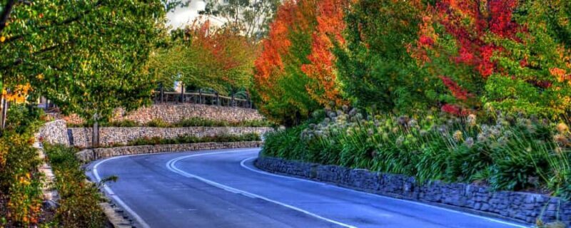 Barossa and Hahndorf Hill Tour - A Day Well Spent in South Australia: What the Tour Offers