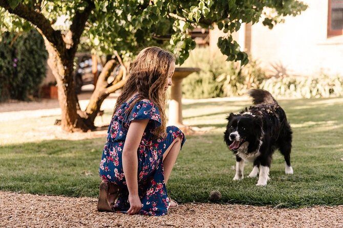 Barossa Private Wine Tour - The Experience from Reviews