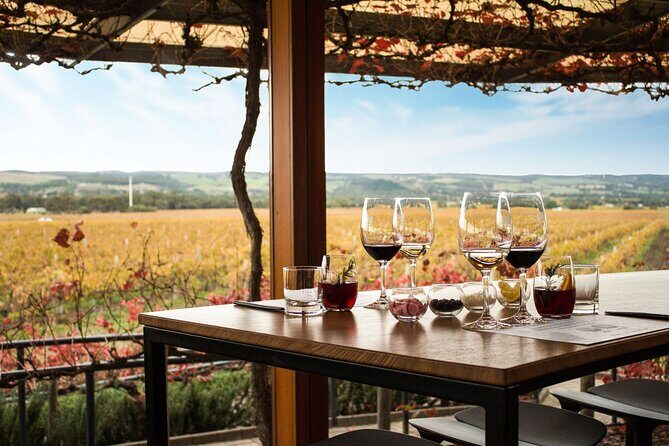 Barossa Small Group Wine Tours with Wine Tasting and Lunch - In-Depth Review of the Experience
