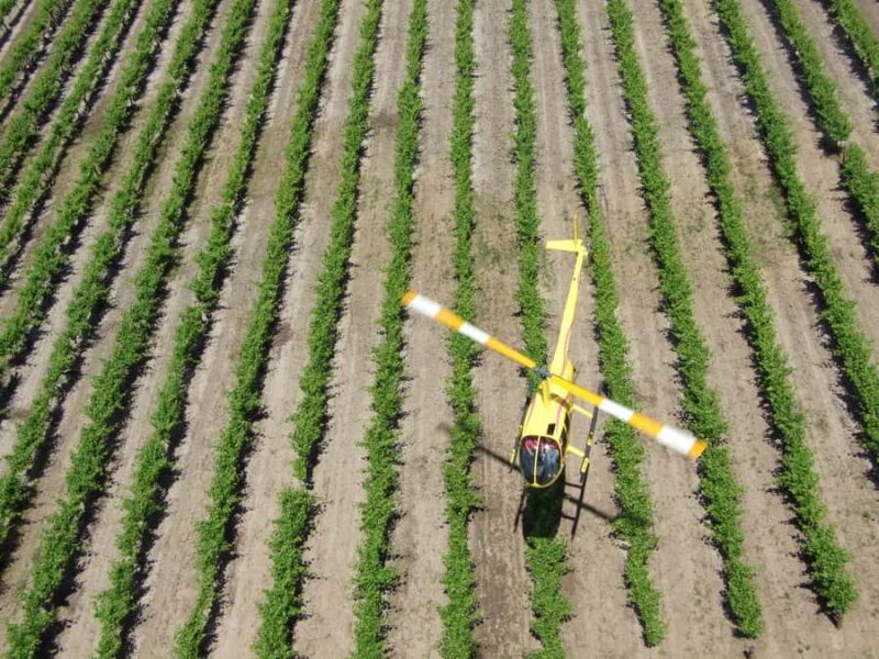 Barossa Valley: 10-Minute Scenic Helicopter Flight - An Honest Look at the Experience