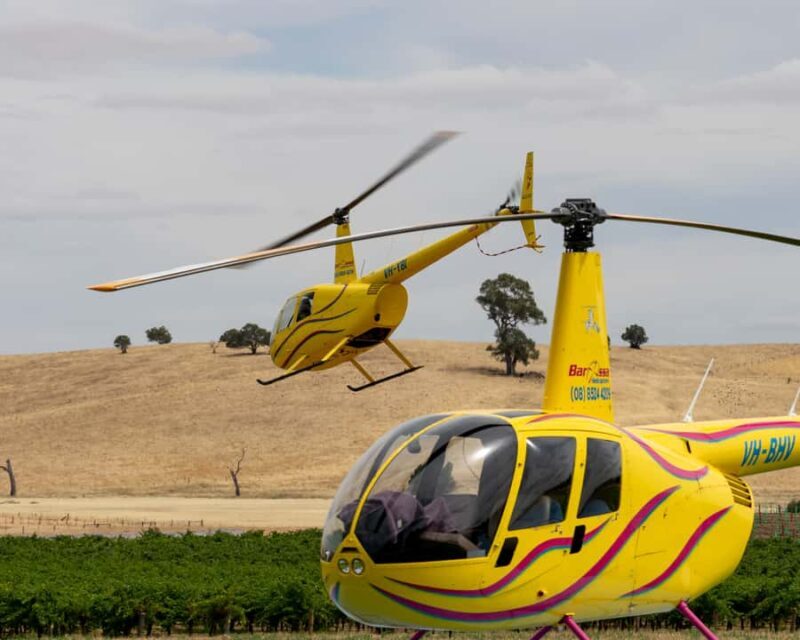 Barossa Valley: 30 Minute Scenic Helicopter Flight - Introduction: What You Can Expect from the Barossa Valley Scenic Helicopter Flight