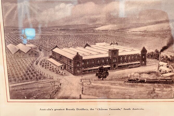 Barossa Valley and Hahndorf Tour- Cruise Ship Pickups - Who Is This Tour Best For?  