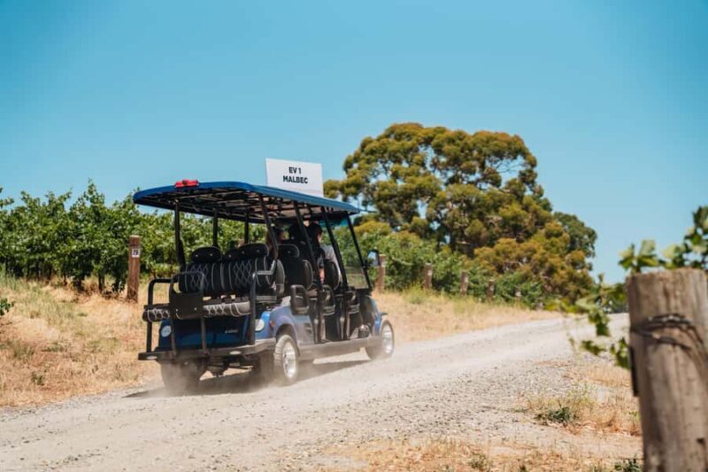 Barossa Valley: EcoVine Explorer - e-cart vineyard tour - Is It Worth the Price?