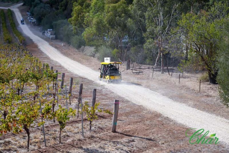 Barossa Valley: EcoVine Explorer - e-cart vineyard tour - Who Will Love This Tour?