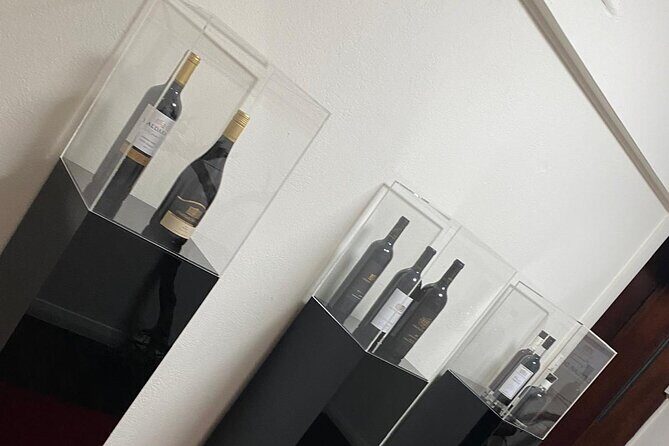 Barossa Valley Gin and Wine Tour - The Experience: Pros and Cons