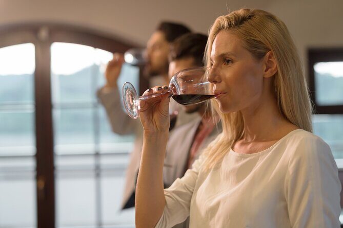 Barossa Valley Gin and Wine Tour - Final Thoughts