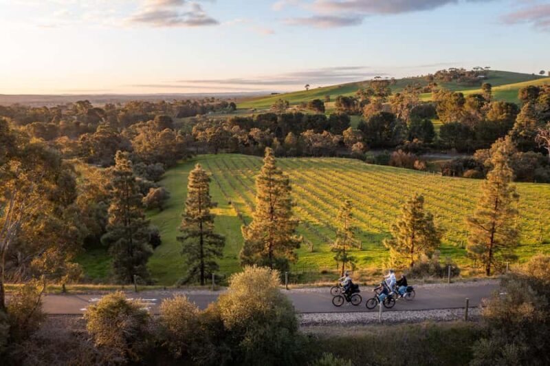 Barossa Valley: Gourmet Food and Wine E-Bike Tour - A Deep Dive into the Barossa Valley Gourmet E-Bike Experience