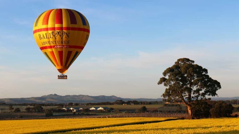 Barossa Valley: Hot Air Balloon Flight - What to Expect from Your Hot Air Balloon Adventure