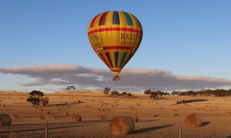 Barossa Valley: Hot Air Balloon Flight - The Flight Experience: Views, Vibes, and Visuals