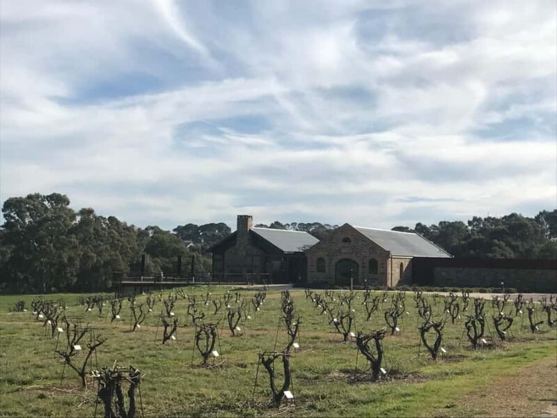 Barossa Valley: Small Group Wine Tour (Includes Lunch) - Exploring Iconic and Boutique Wineries