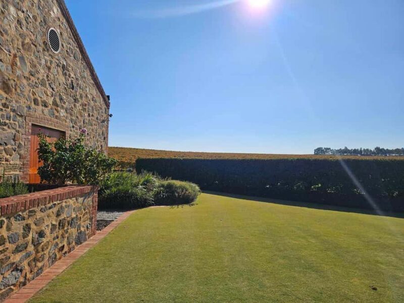 Barossa Valley Wine Tour - What to Expect from the Barossa Valley Wine Tour