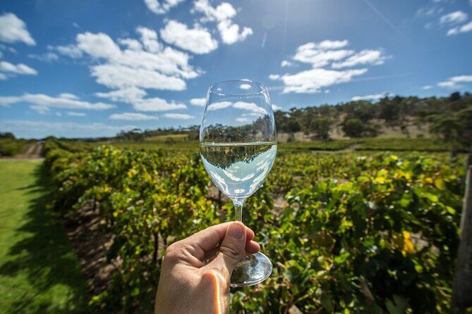 Barossa Valley Wine Tour Tastings and Lunch Included - A Deep Dive into the Barossa Valley Wine Tour Experience