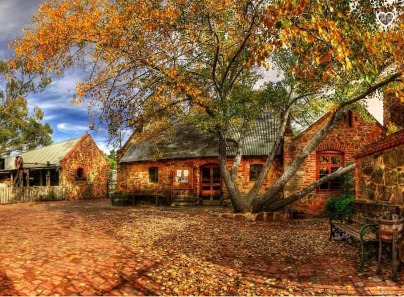 Barossa Wine Tour: Small Group 8 max, Rare, Unique, Premium - An In-Depth Look at the Barossa Wine Tour Experience