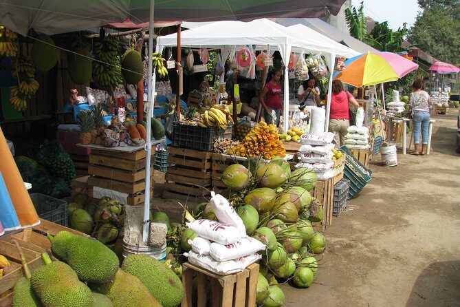 barra de navidad and plantations - Additional Highlights and Authentic Experiences