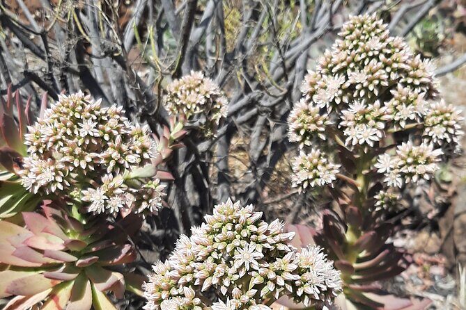 Barranco de las Vacas, caves & village by Sky Rebels local guides - Final Words