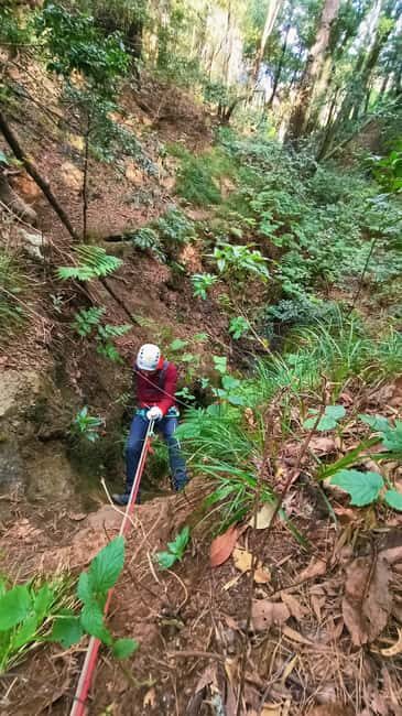 Barranquismo Anaga Tenerife - Authentic Insights from Travelers