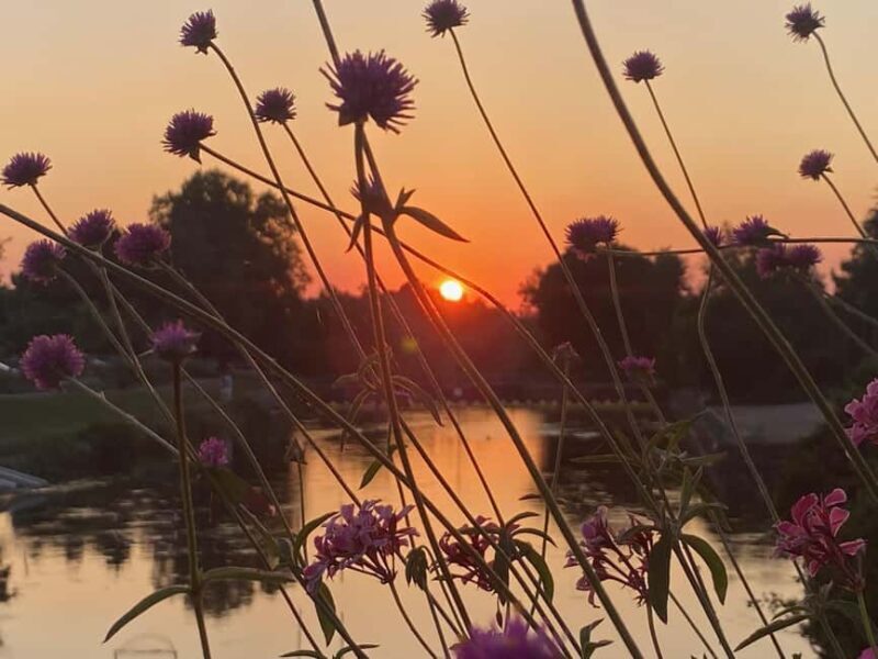 Basel: Fancy a bike tour through 3 countries in 60 minutes? - A Detailed Look at the Tour Itinerary