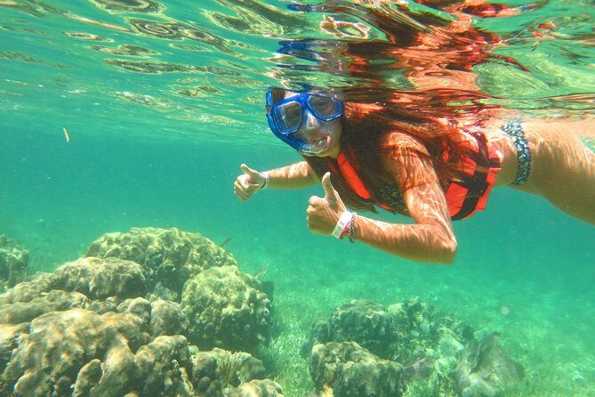 Basic Snorkel Experience In Cancun - The Value of This Snorkel Tour