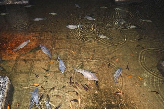 Basilica Cistern Skip the Line Ticket - FAQ